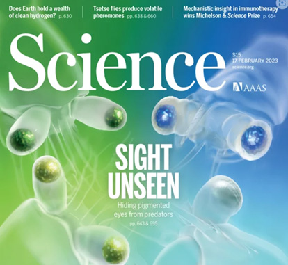 Consulado General H. de Israel | La investigación de un químico de la ...